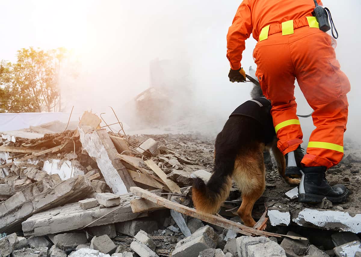 Disaster Preparedness and Response - Preparing for the Unexpected